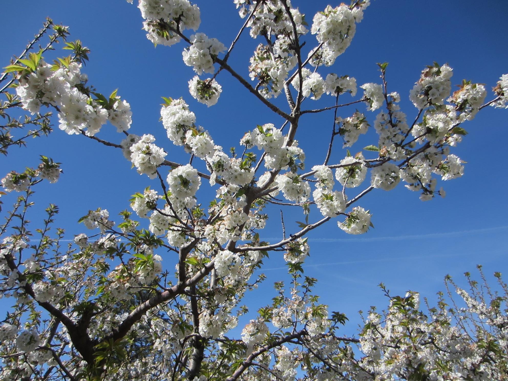 Fausel Ranch – Travels About Town